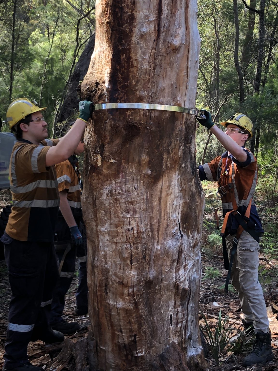 Helping to preserve local cultural heritage – Tahmoor Colliery